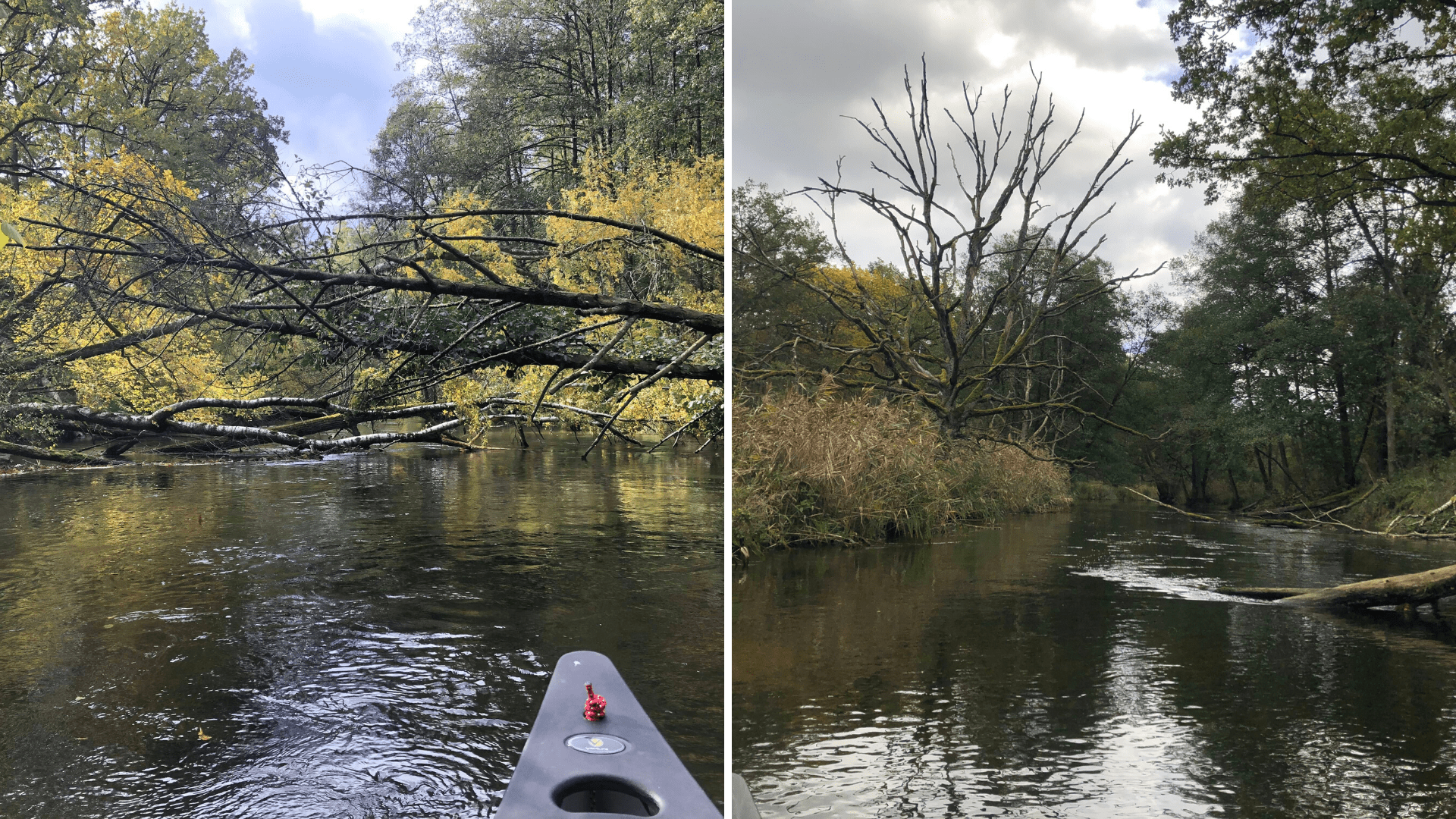 Drawa z psem. Przygody dookoła Drawieńskiego Parku Narodowego.